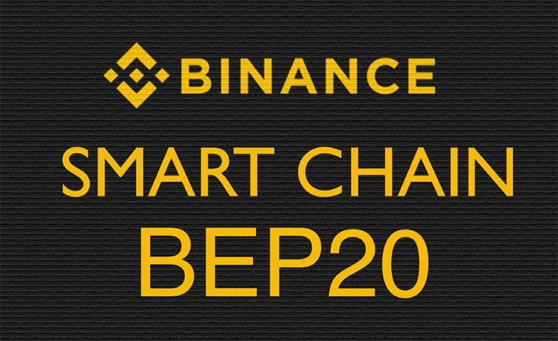 PRO Terbaik! Jasa Pembuatan Website Token BEP20 (BSC) Lengkap Full